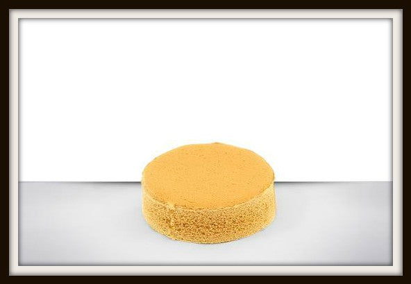 Watering Pad – Armstrong Crickets Georgia