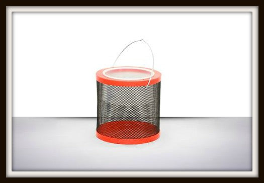 Armstrong Crickets Georgia - Supplies